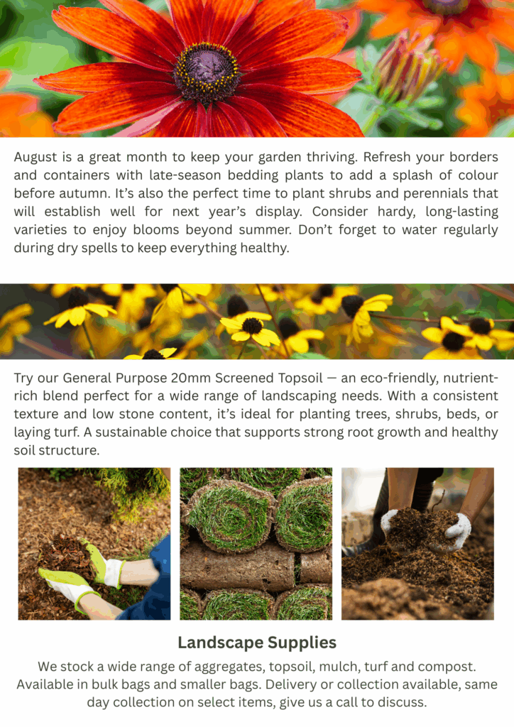 August Newsletter & Gardening Tips - Twickenham Plant Centre